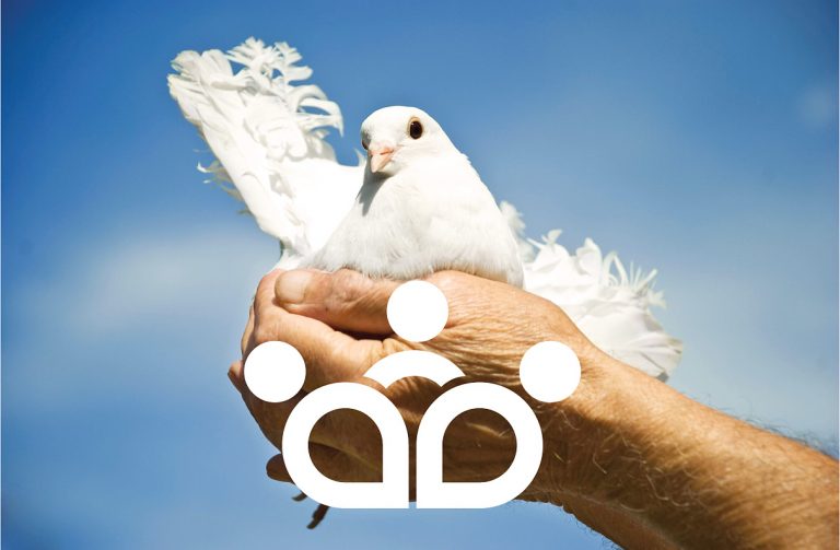 Interact Support Update – Interact Support Inc